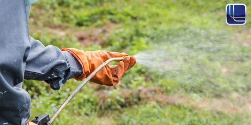 Dacthal Lawsuit | DCPA Exposure Claims in Michigan | Lipton Law