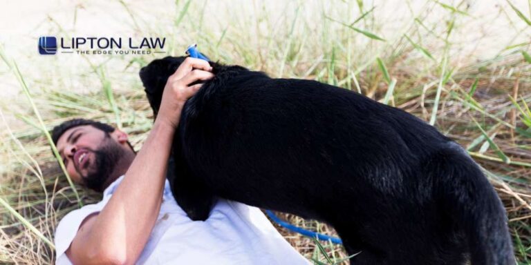 6 Dog Bite Levels: The Dunbar Bite Scale | Lipton Law | Michigan