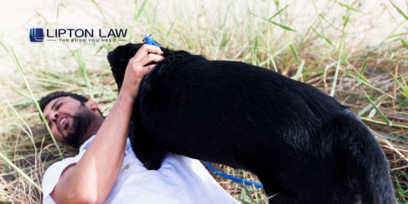 6 Dog Bite Levels: The Dunbar Bite Scale | Lipton Law | Michigan